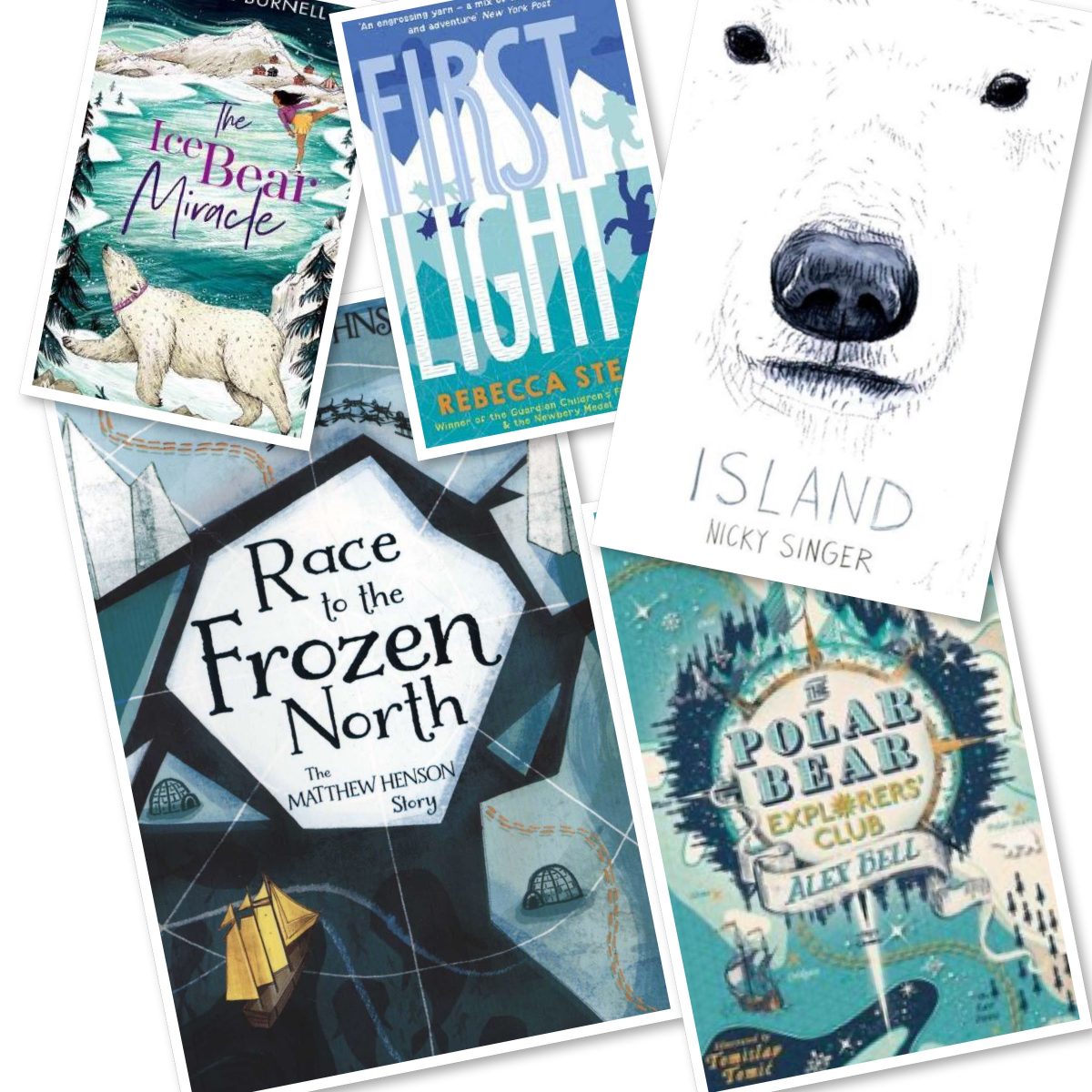 Frozen Planet Topic Box – The Book Nook