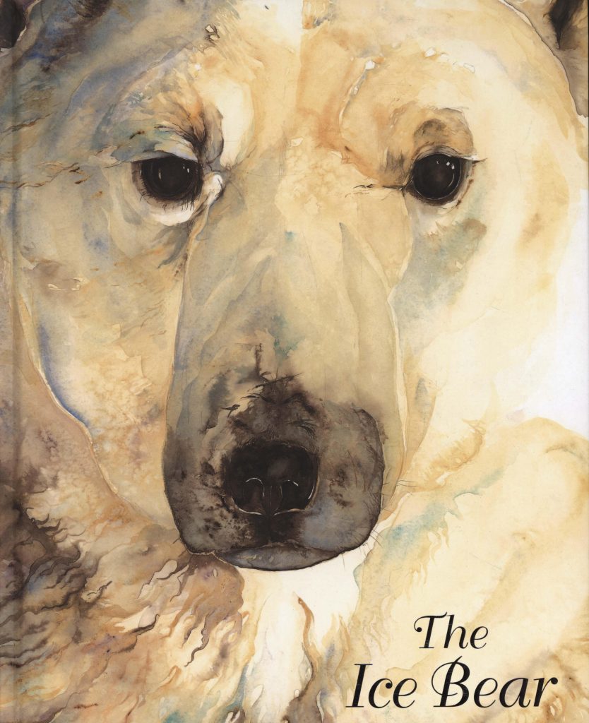 Ice Bear by Jackie Morris – The Book Nook