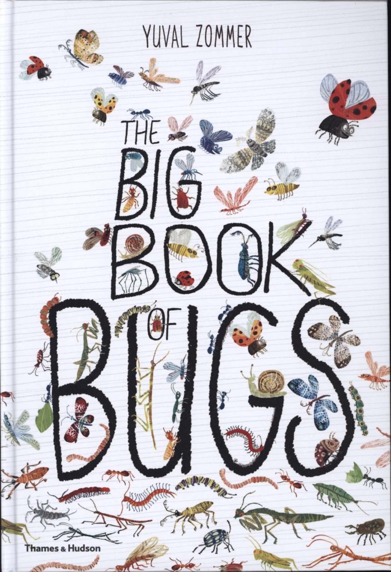 The Big Book of Bugs by Yuval Zommer – The Book Nook