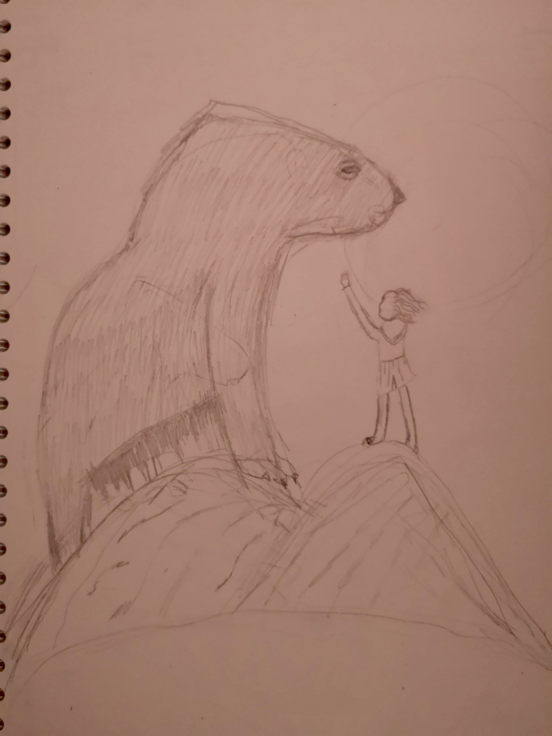 The Last Bear by Hannah Gold, reviewed by Aysha – The Book Nook