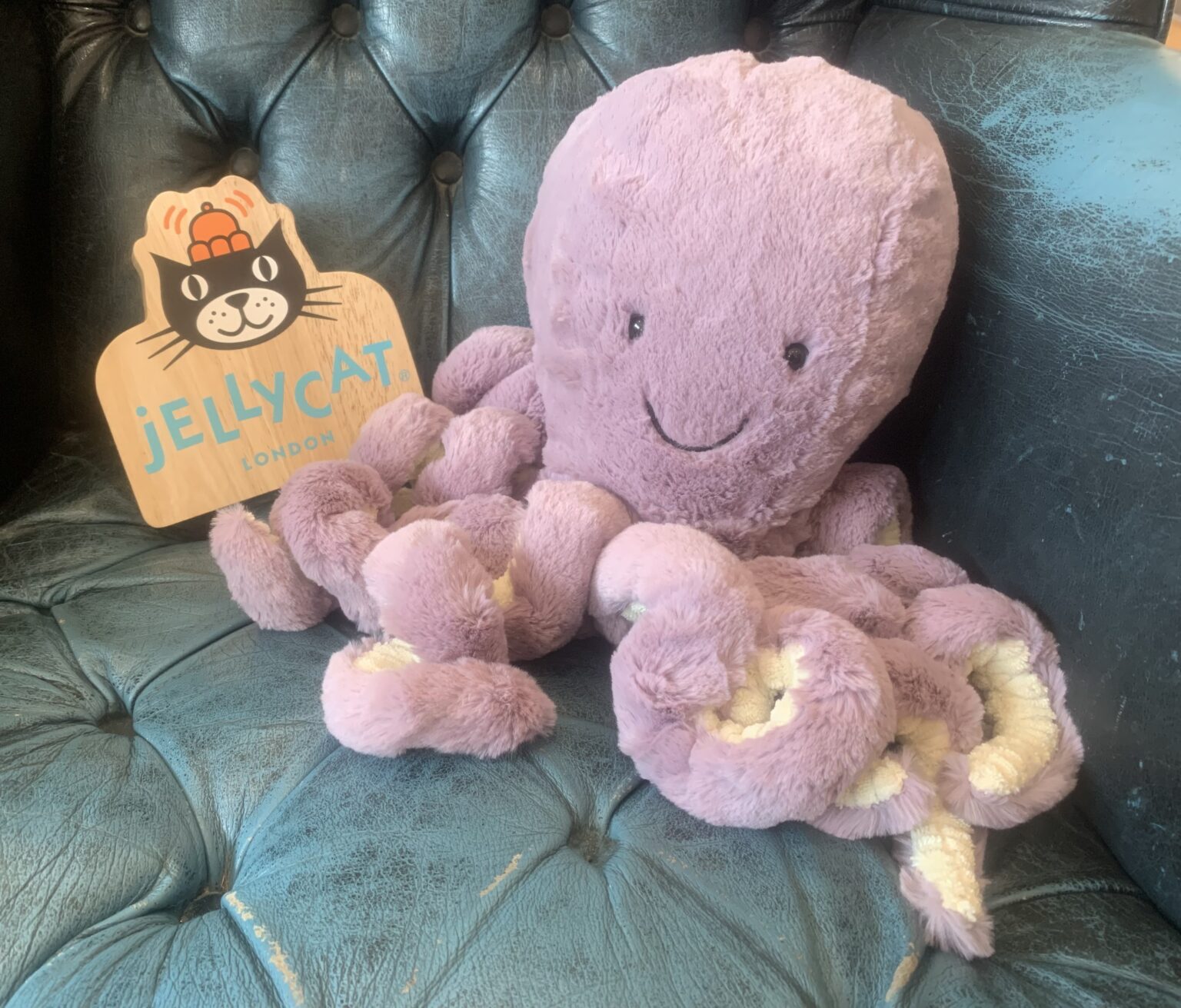 The Book Nook – Multi-award winning Independent Children's Bookshop and ...